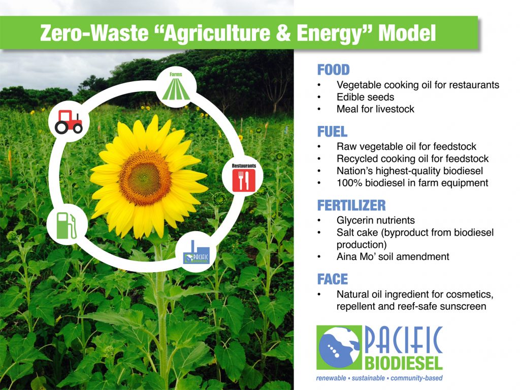 Zero Waste Sunflower Biodiesel Kick Starts Maui’s Agricultural ...
